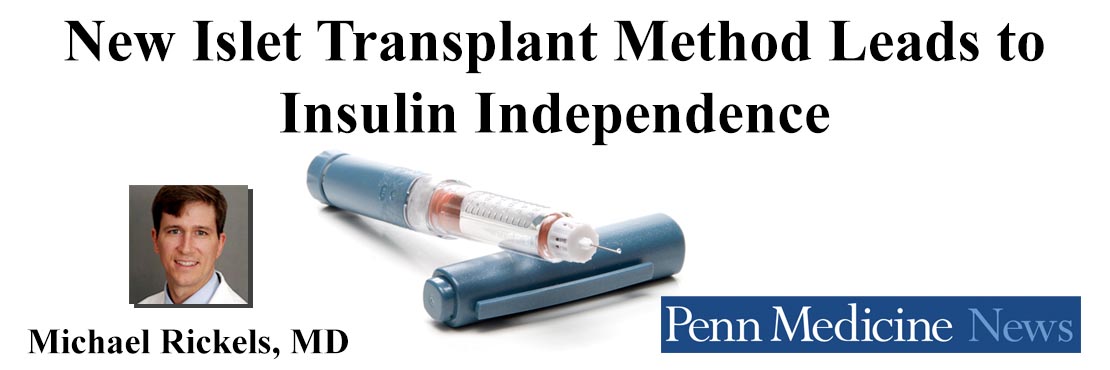 Welcome to the Institute for Diabetes, Obesity and Metabolism