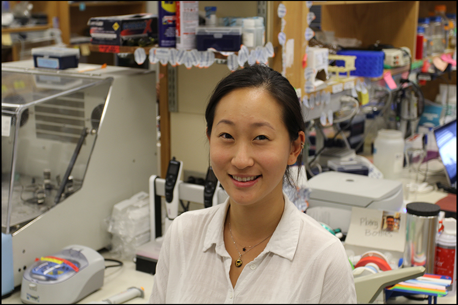Shorter Lab: People - Bo Lim (Linda) Lee